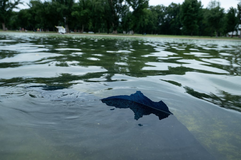 Why Trump’s Slimy Humiliation With Reflecting Pool is Driving Him Mad ...