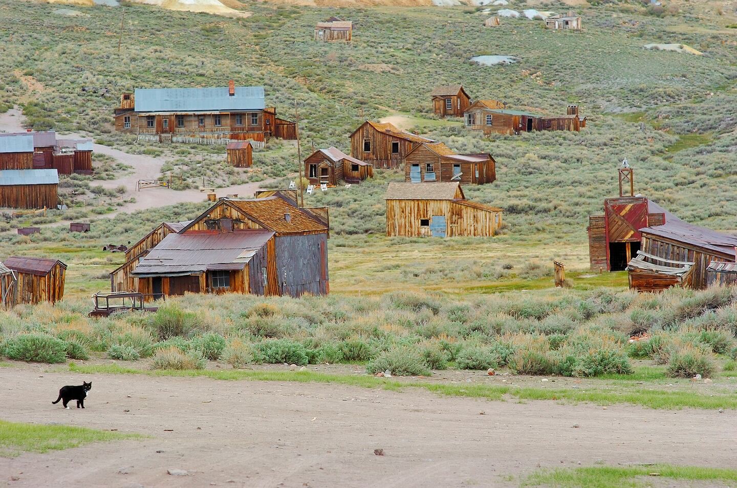 The Real Ghosts Haunting a Visit to California's Most Famous Gold Rush ...