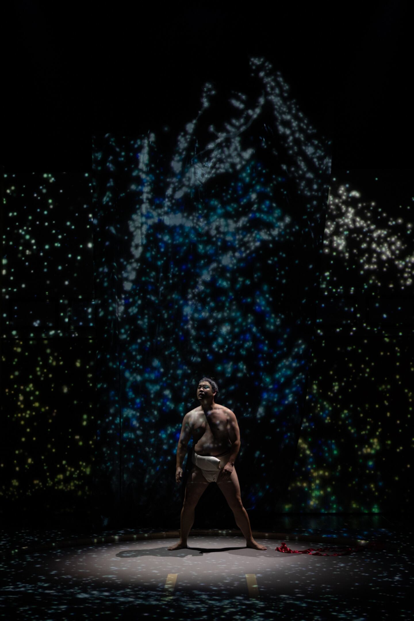 How Sumo Wrestling Became New York’s Hottest New Play