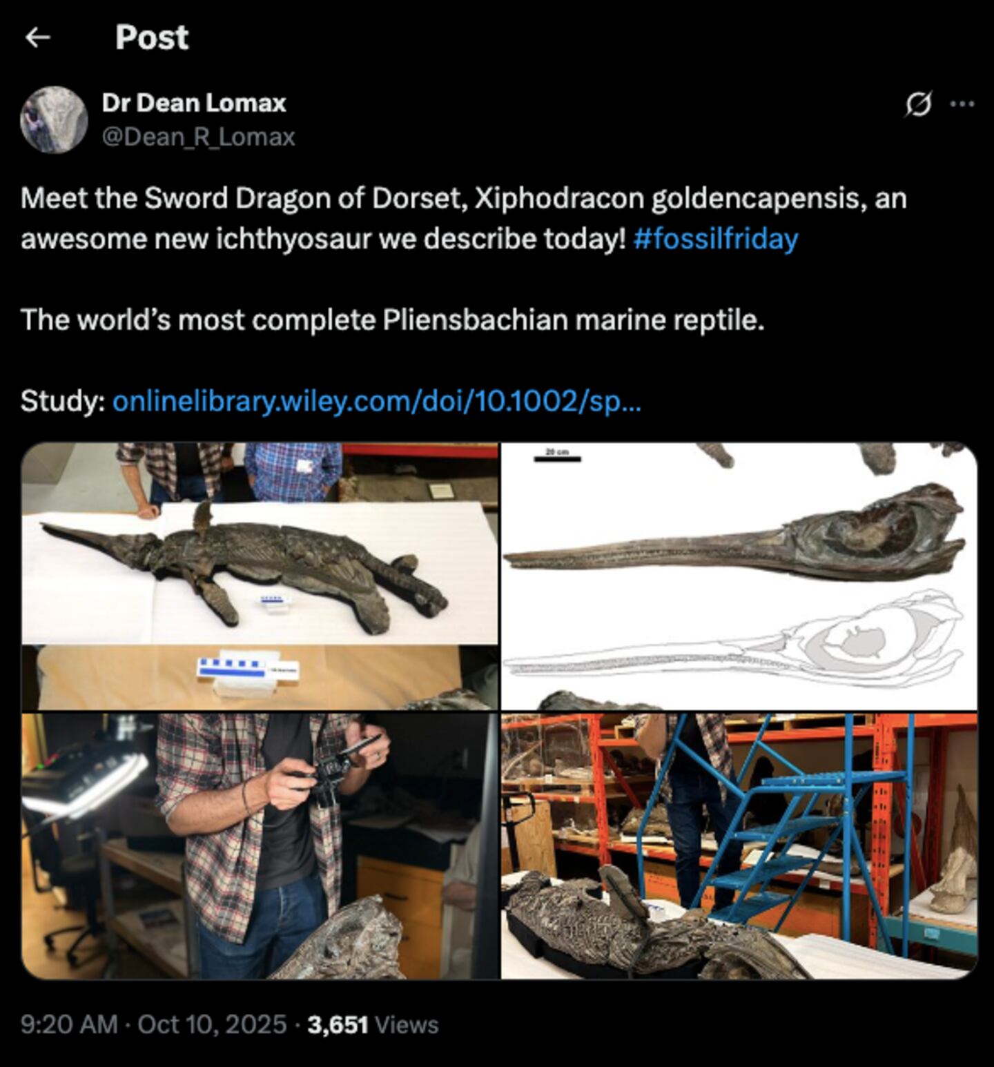 Scientists Reveal Fossil Is Unique ‘Sword Dragon’ Species
