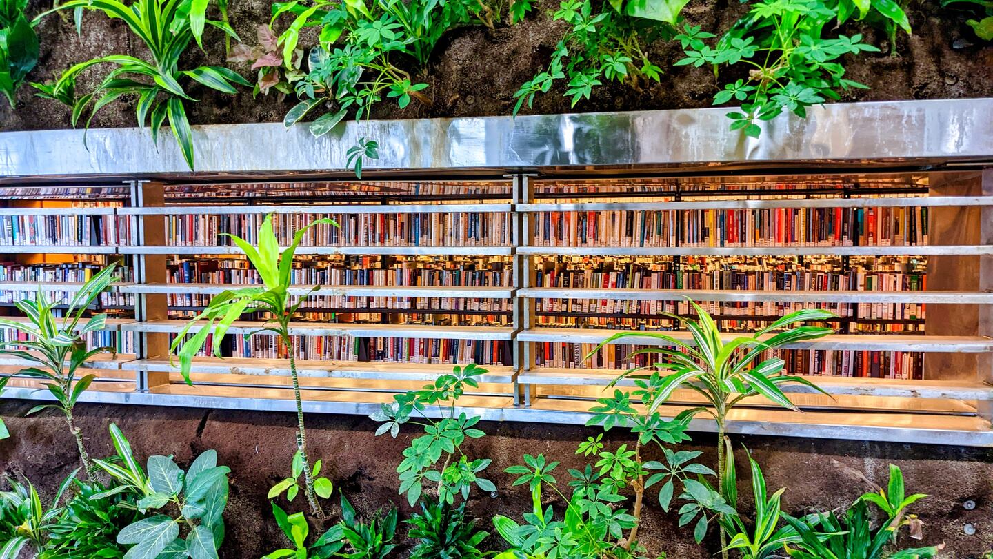 One of the World's Most Beautiful Libraries Was Born Out of Tragedy