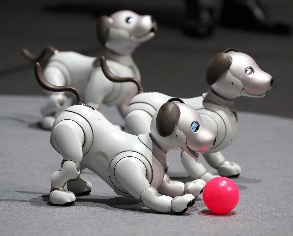 In the Future, We’ll Love Our Robot Pets, But Will They Love Us Back?