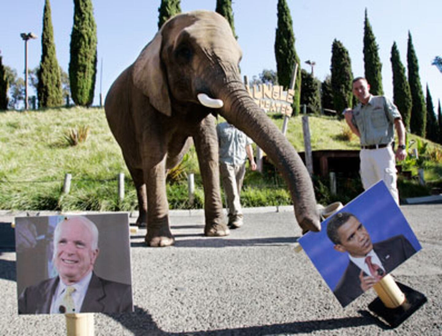 The Secret Language of Elephants