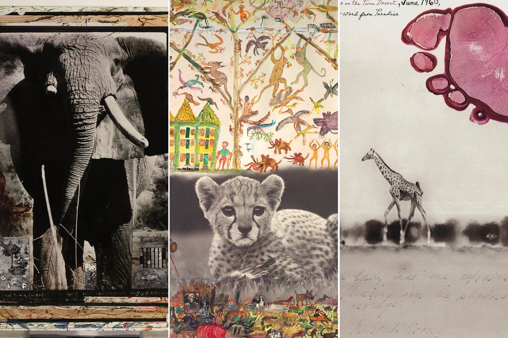 Peter Beard's Natural Wonders