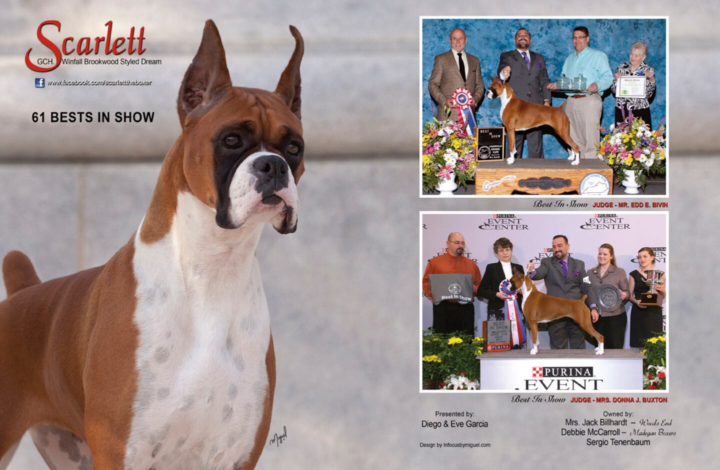 Best Show-Dog Ads (Photos)