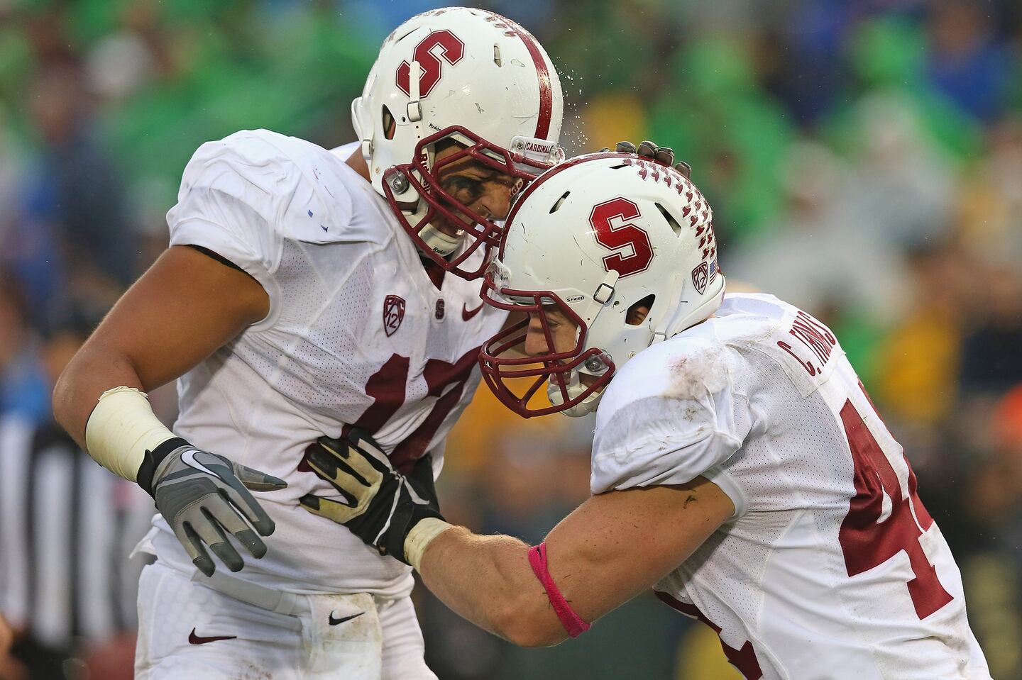 The 2014 Dummies’ Guide to College Football Games