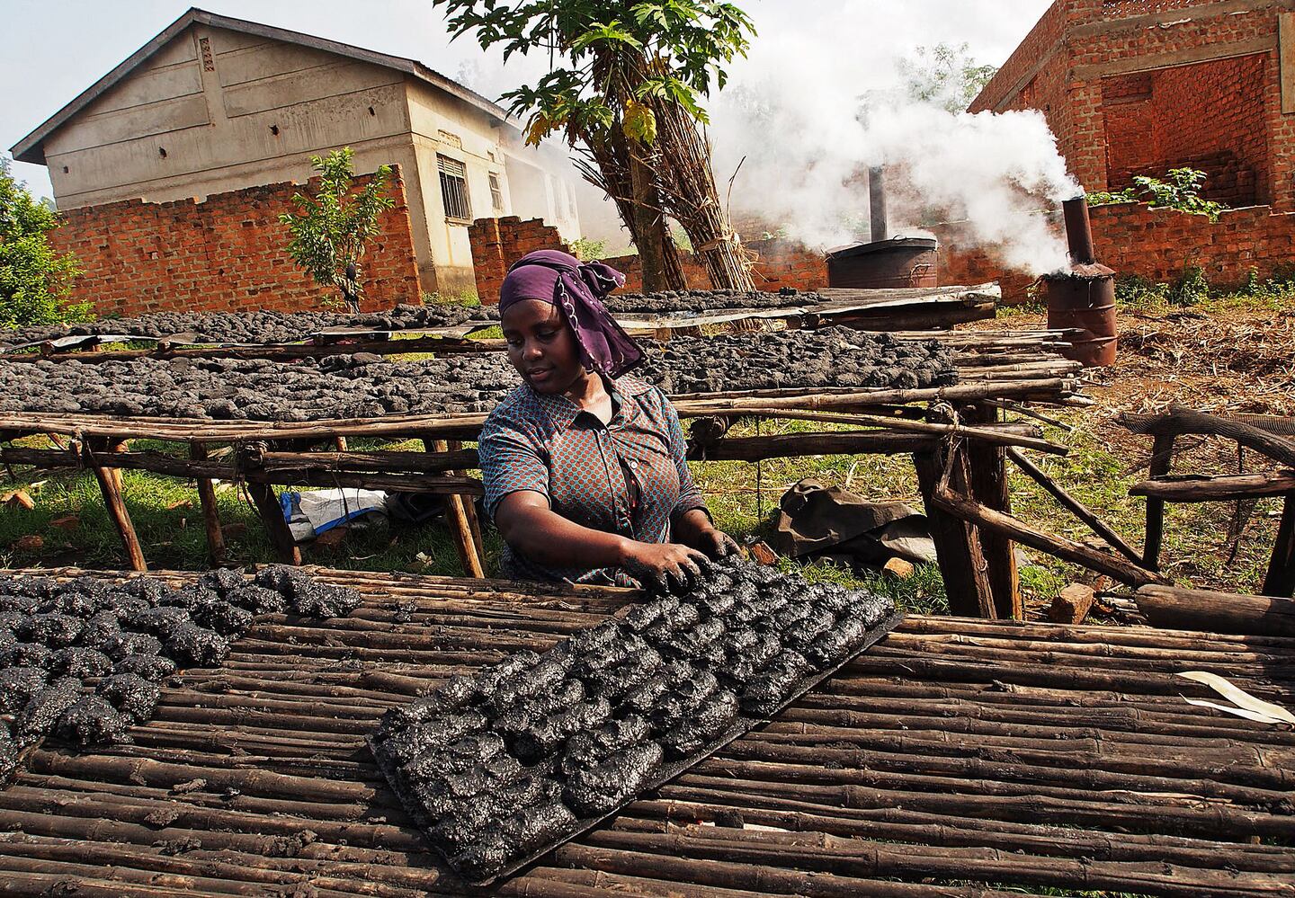 Ancient Fertilizer Biochar Is Finding a New Life As a Solution to Fight ...