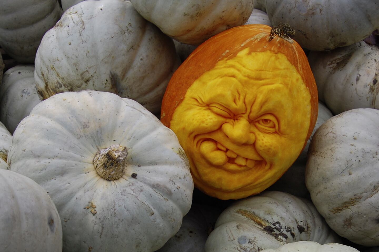 23 Amazing Carved Pumpkins