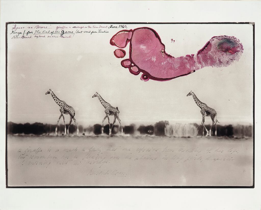 Peter Beard's Natural Wonders
