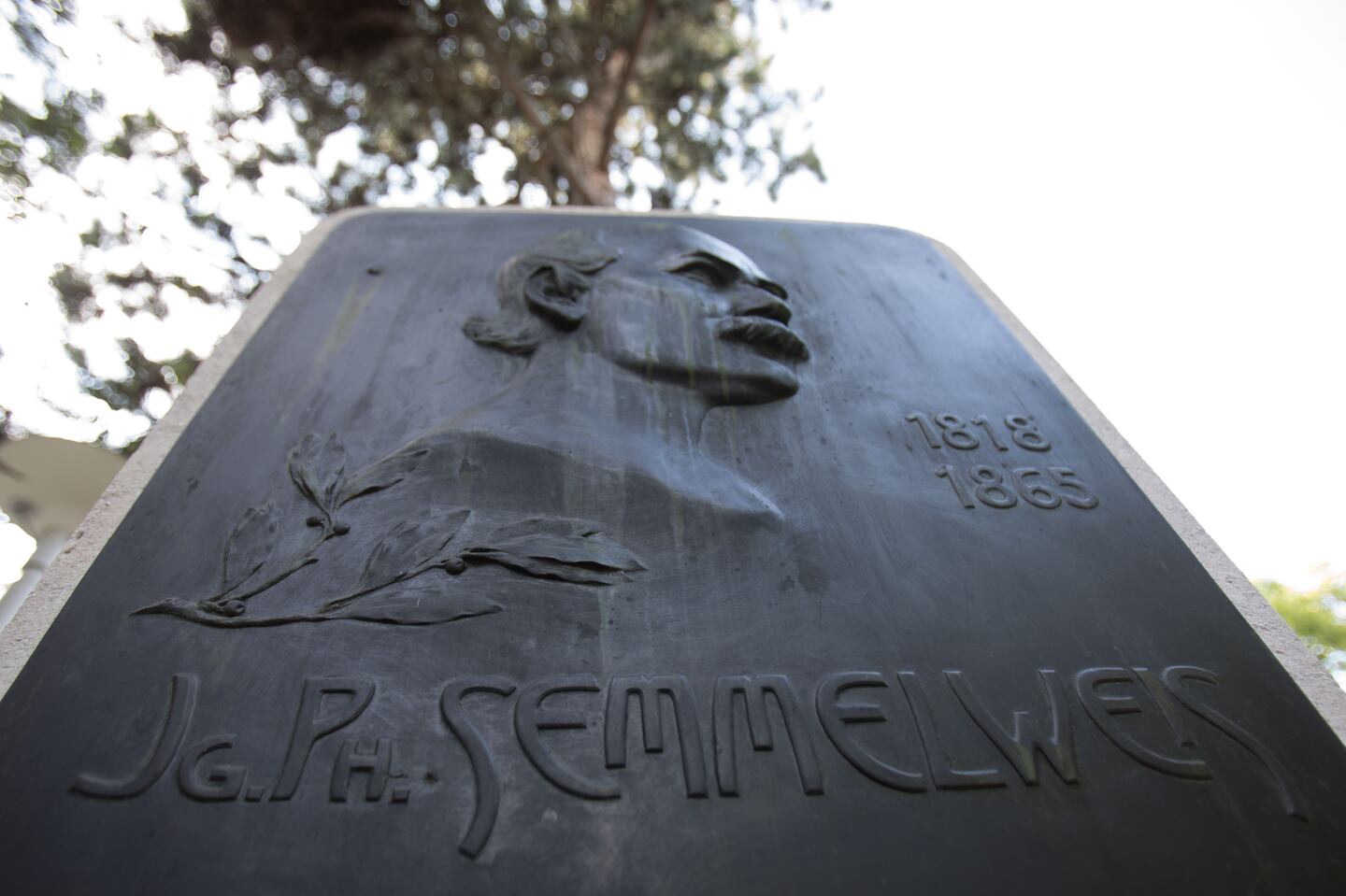 Ignaz Semmelweis, Who Died in an Insane Asylum, Is Why We Wash Our Hands