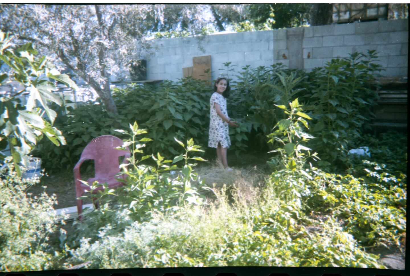Life in the Cañada Real, Europe’s Largest Shanty Town as Photographed ...