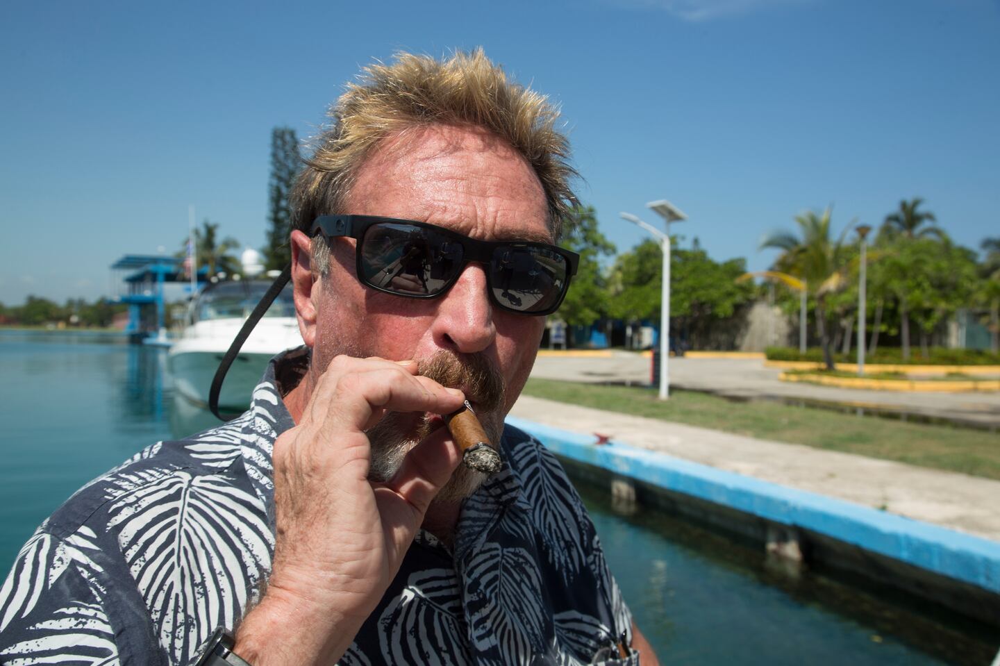 John McAfee Resurrected From Death to Proffer Crypto Meme-Coin