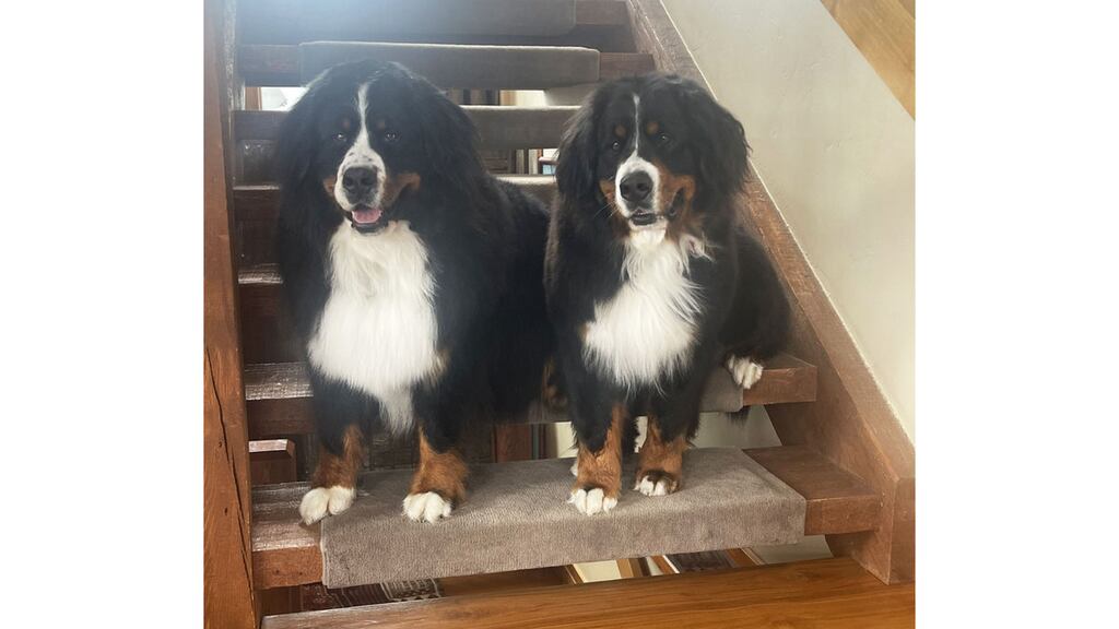 Cloudflare Billionaire Matthew Prince Ignites Feud Over Park City Mega ...