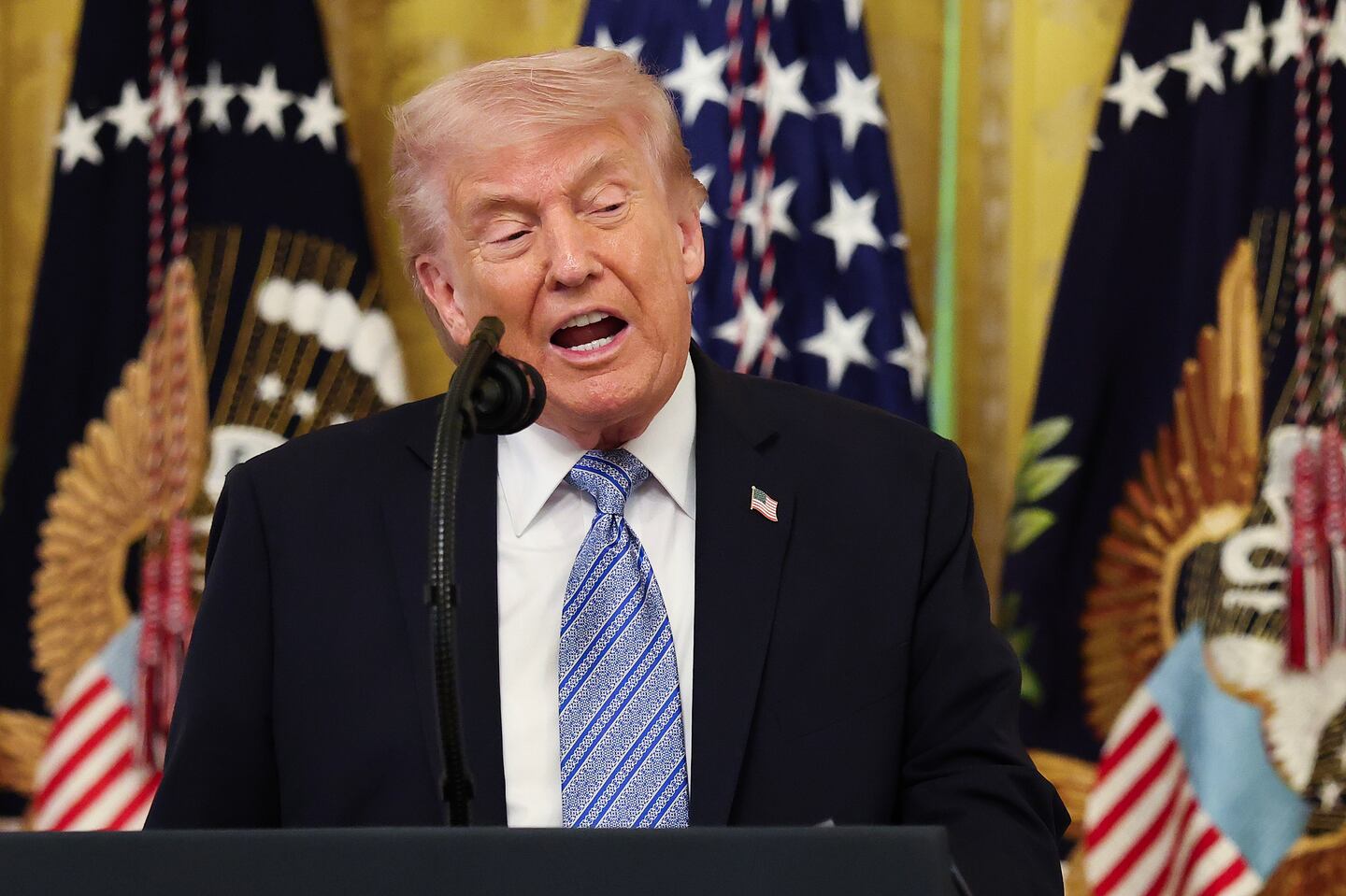 Trump, 79, Bizarrely Boasts He Can Correctly Identify a Squirrel