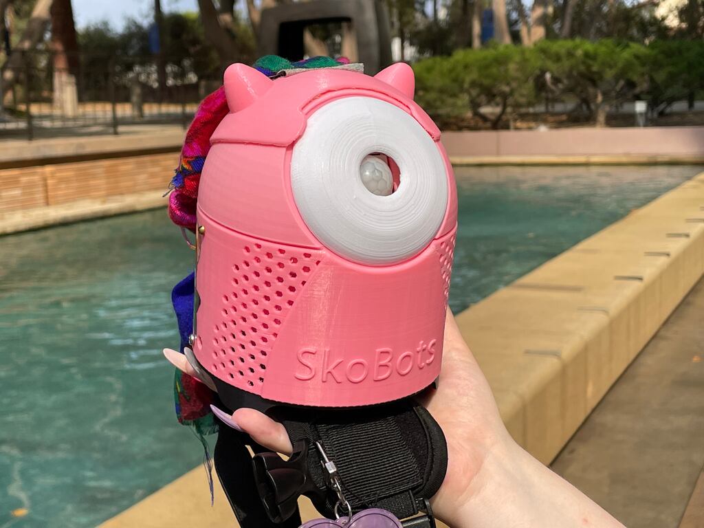 Danielle Boyer Trained SkoBots to Teach Native American Languages to Kids