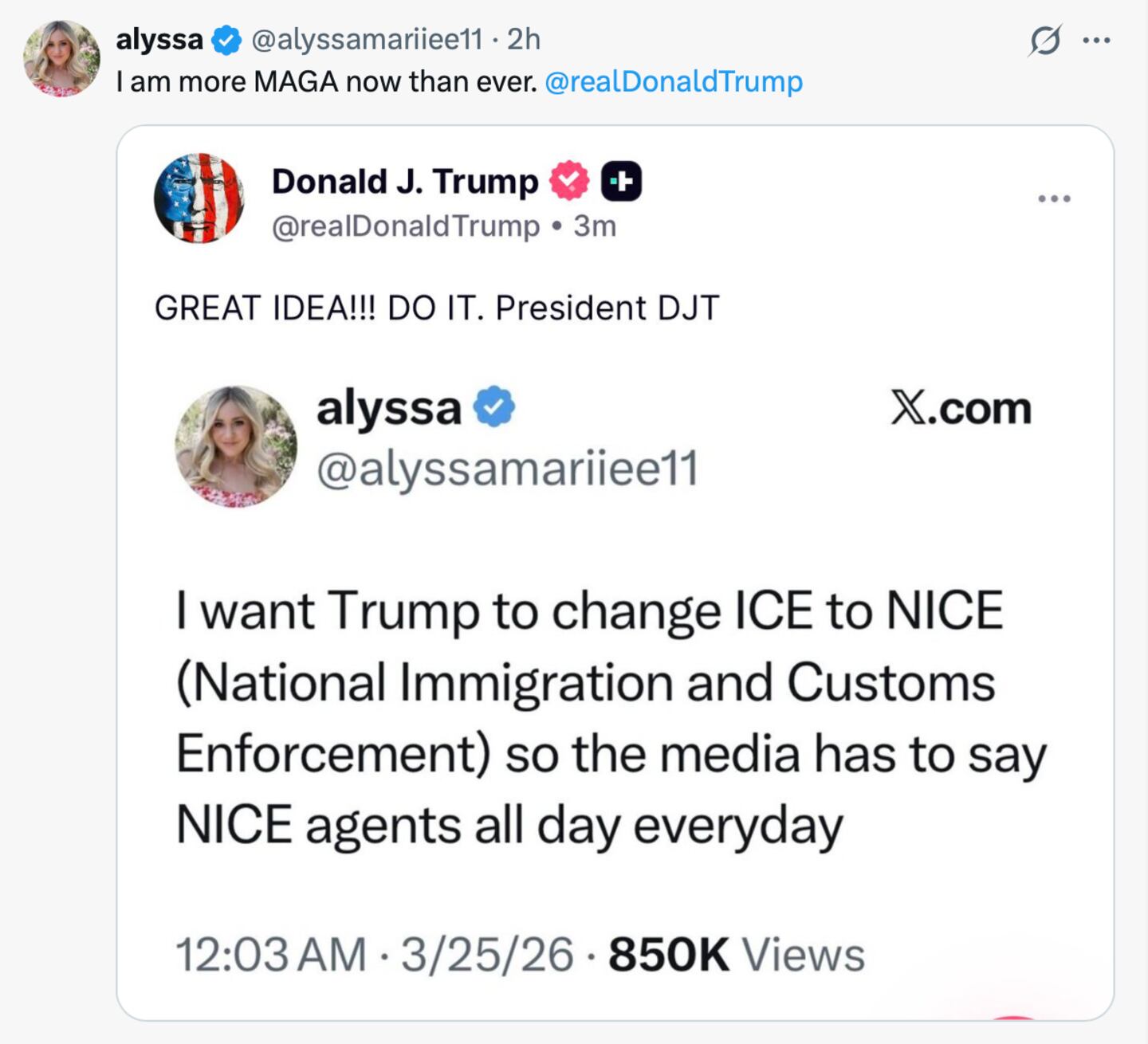Trump Spills What Really Happened With Cringe-Inducing ICE Rebrand