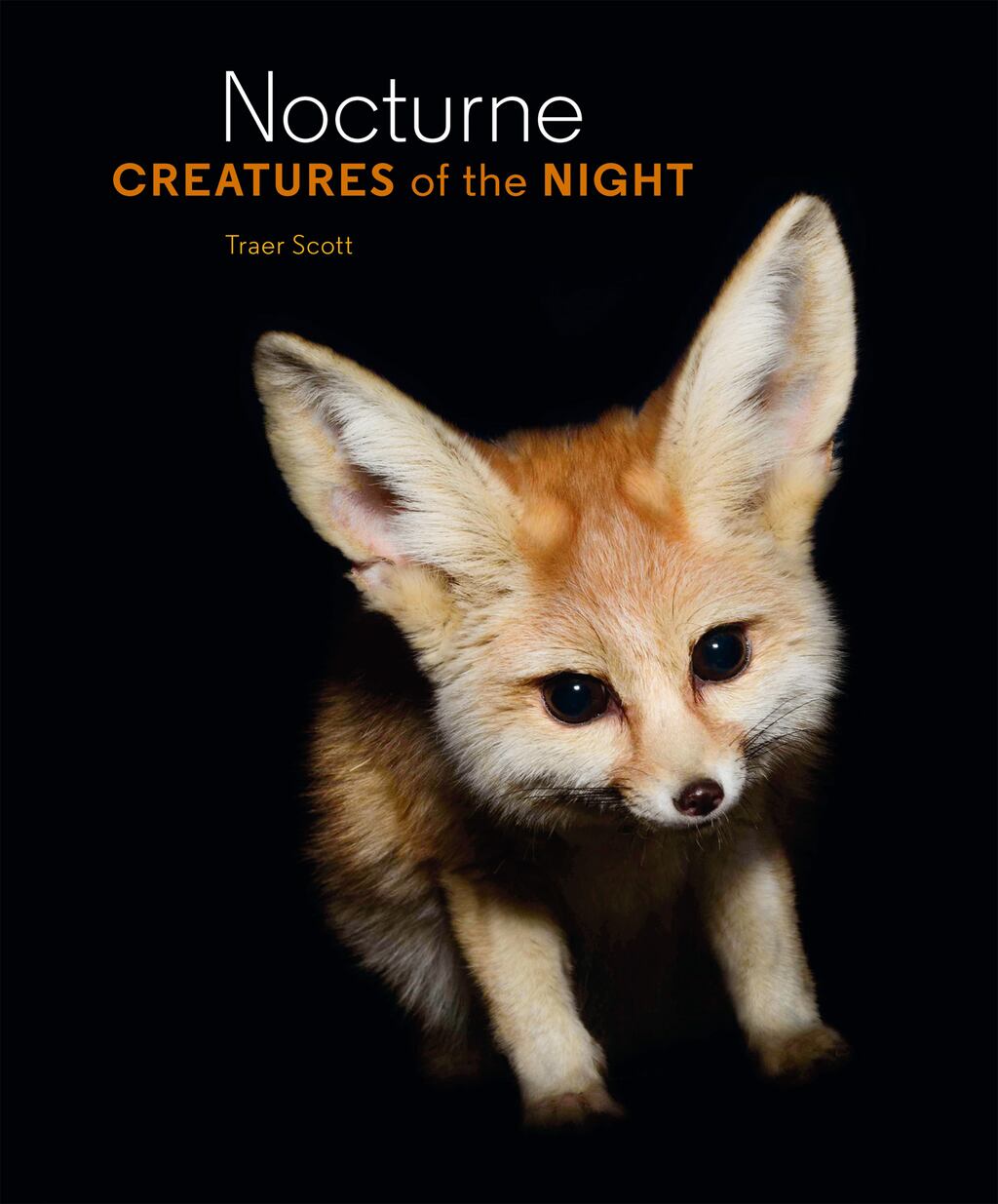 The Cutest Nocturnal Animals Ever (Photos)