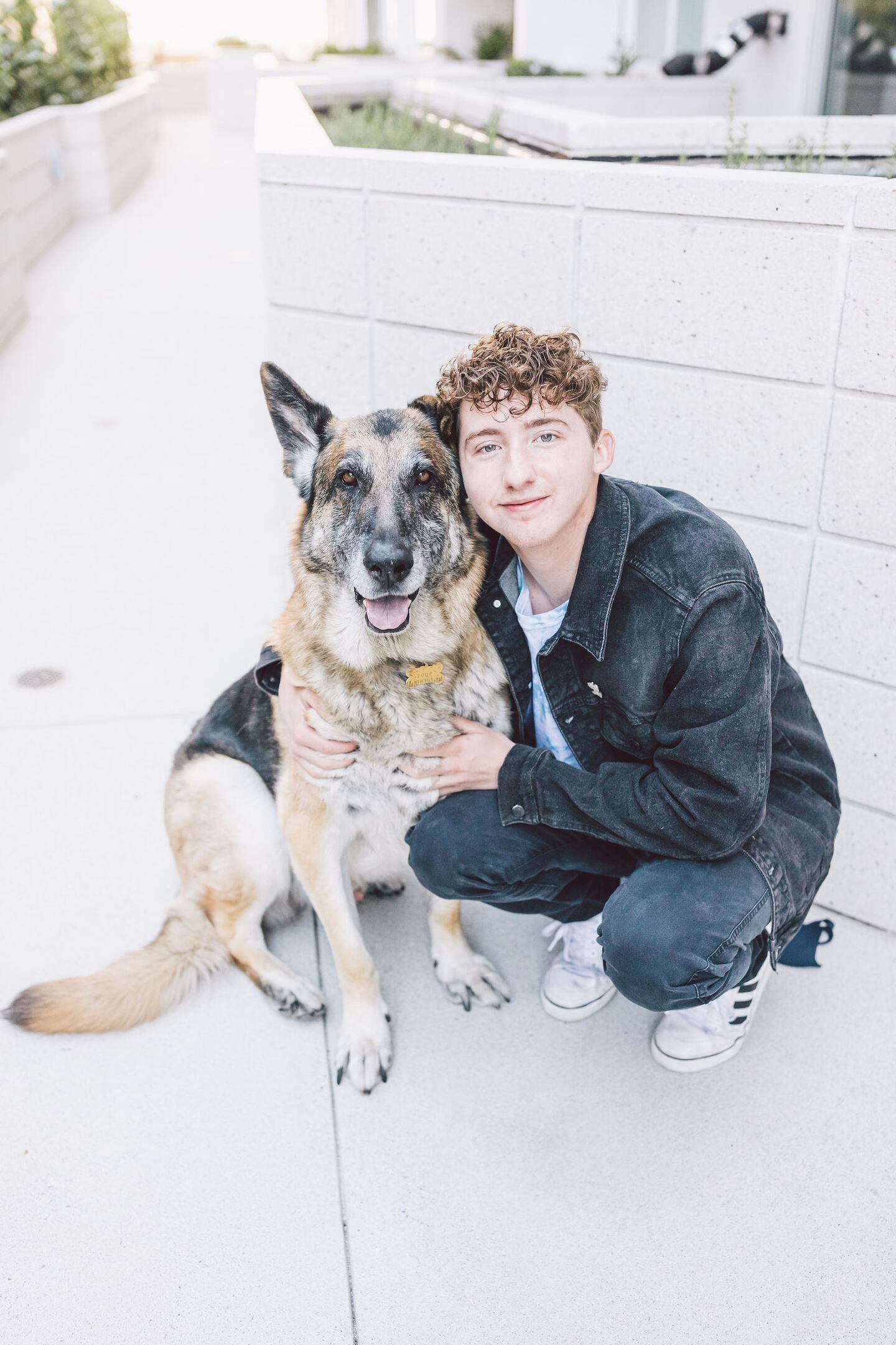 How WeRateDogs Became the Last Good Account on the Internet