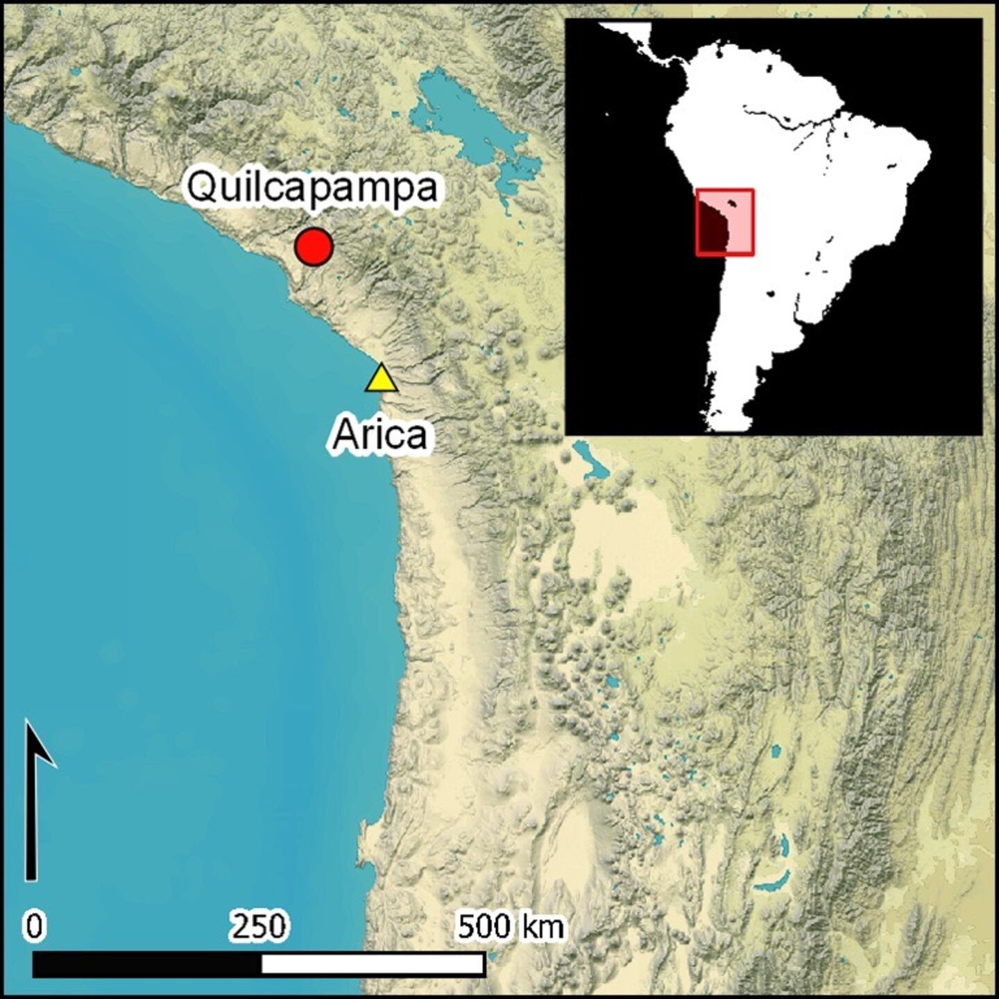 Ancient Wari Empire Used to Mix Vilca Tree Hallucinogens With Beer for ...
