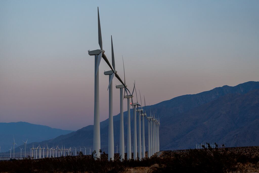 Bizarre Moment Donald Trump Declares Windmills Are ‘Killing Us’