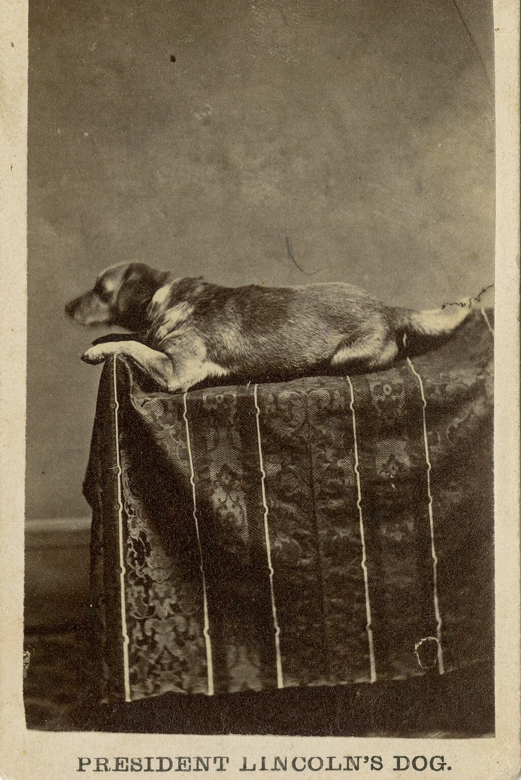 'Living with Lincoln': Rare Portraits of Abraham Lincoln's Family