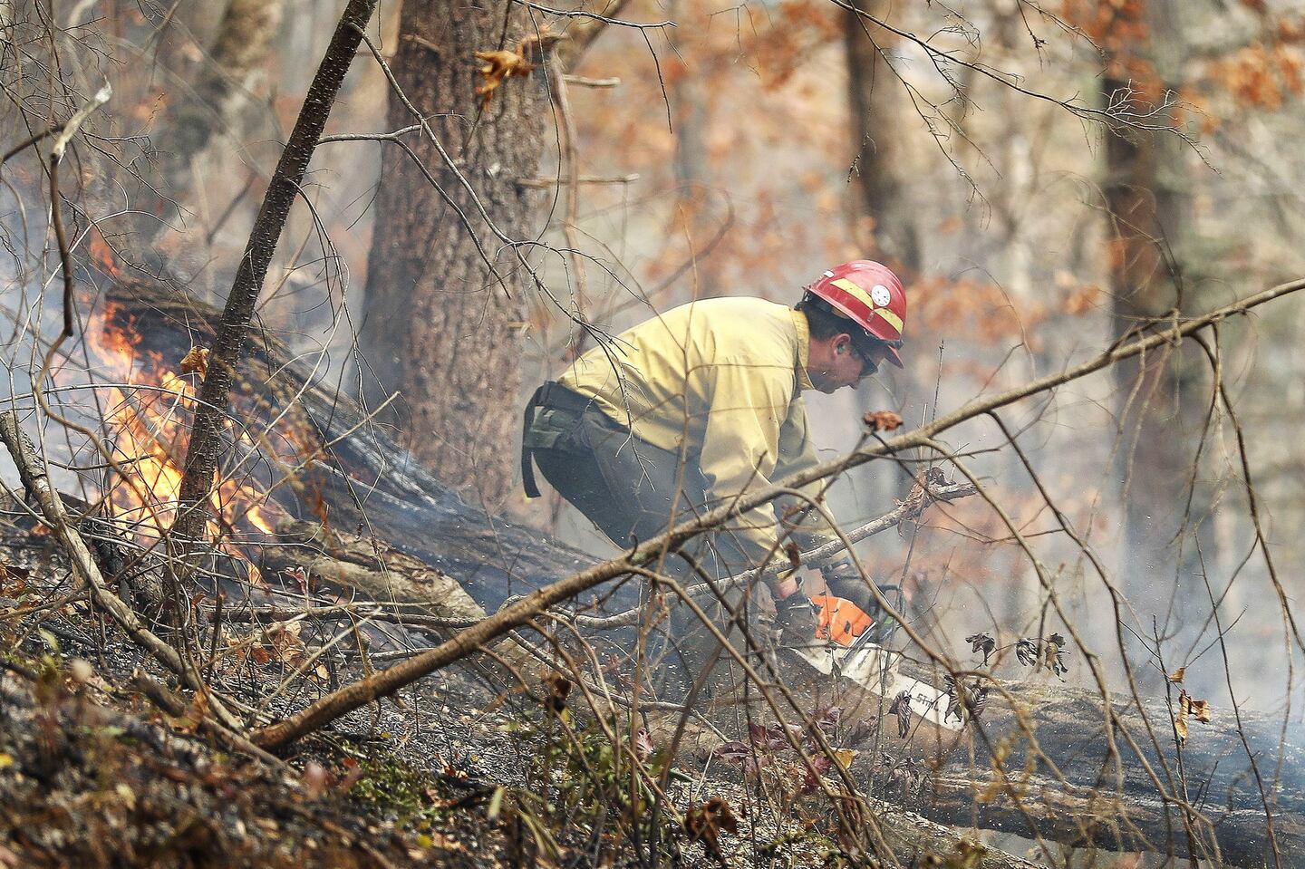 Wildfires Close In On Heart of Tennessee (Photos)