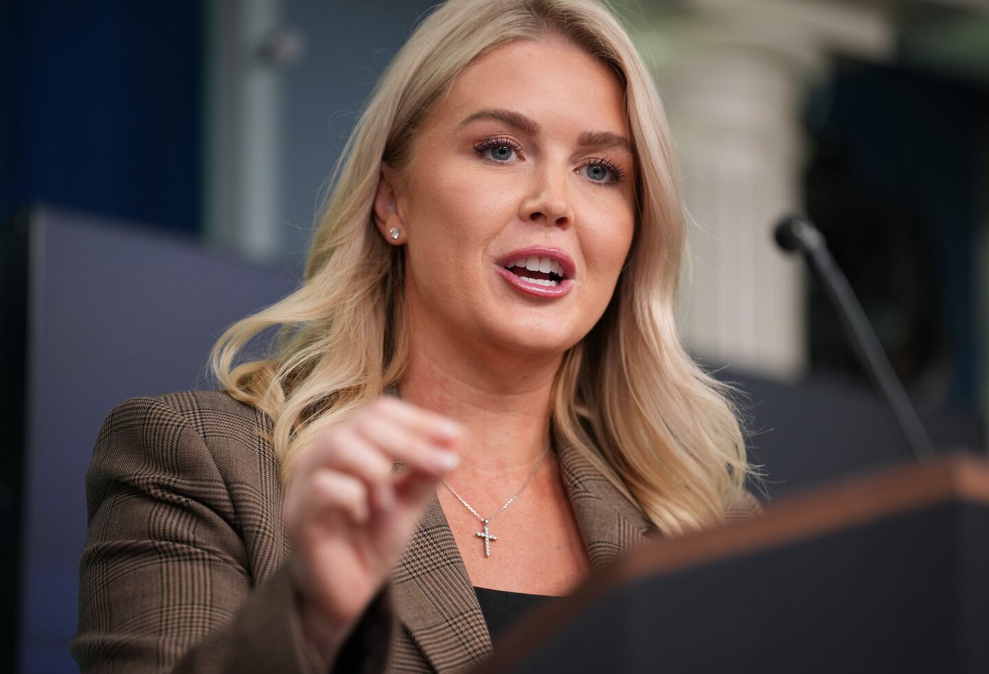 Karoline Leavitt Claims Border Czar Never took $50,000 in Cava Bag