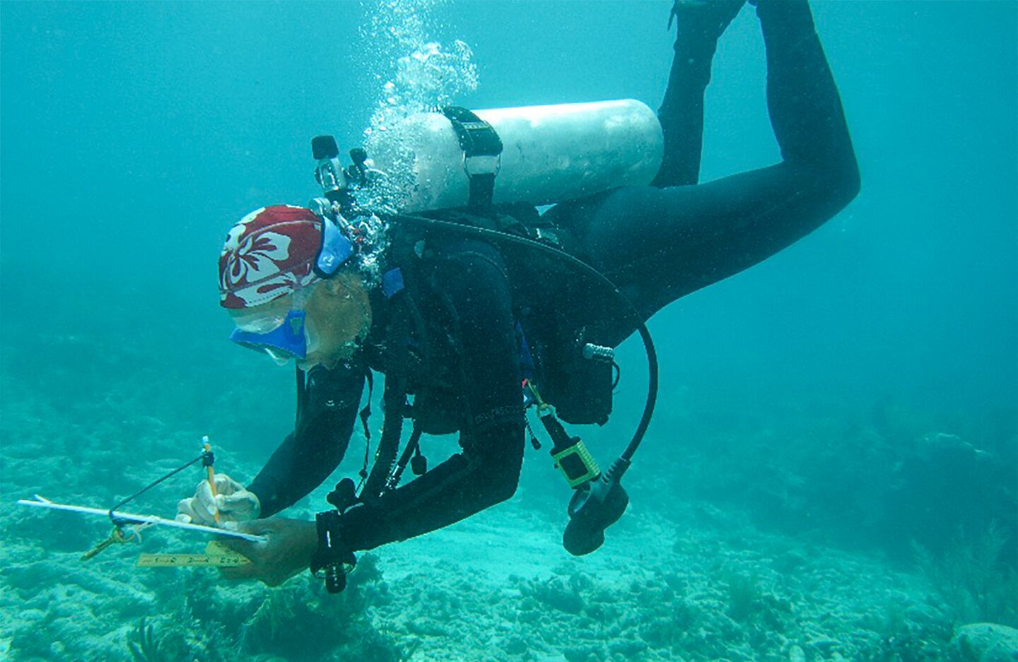 These Black Women Are Making Their Mark in the Diving World