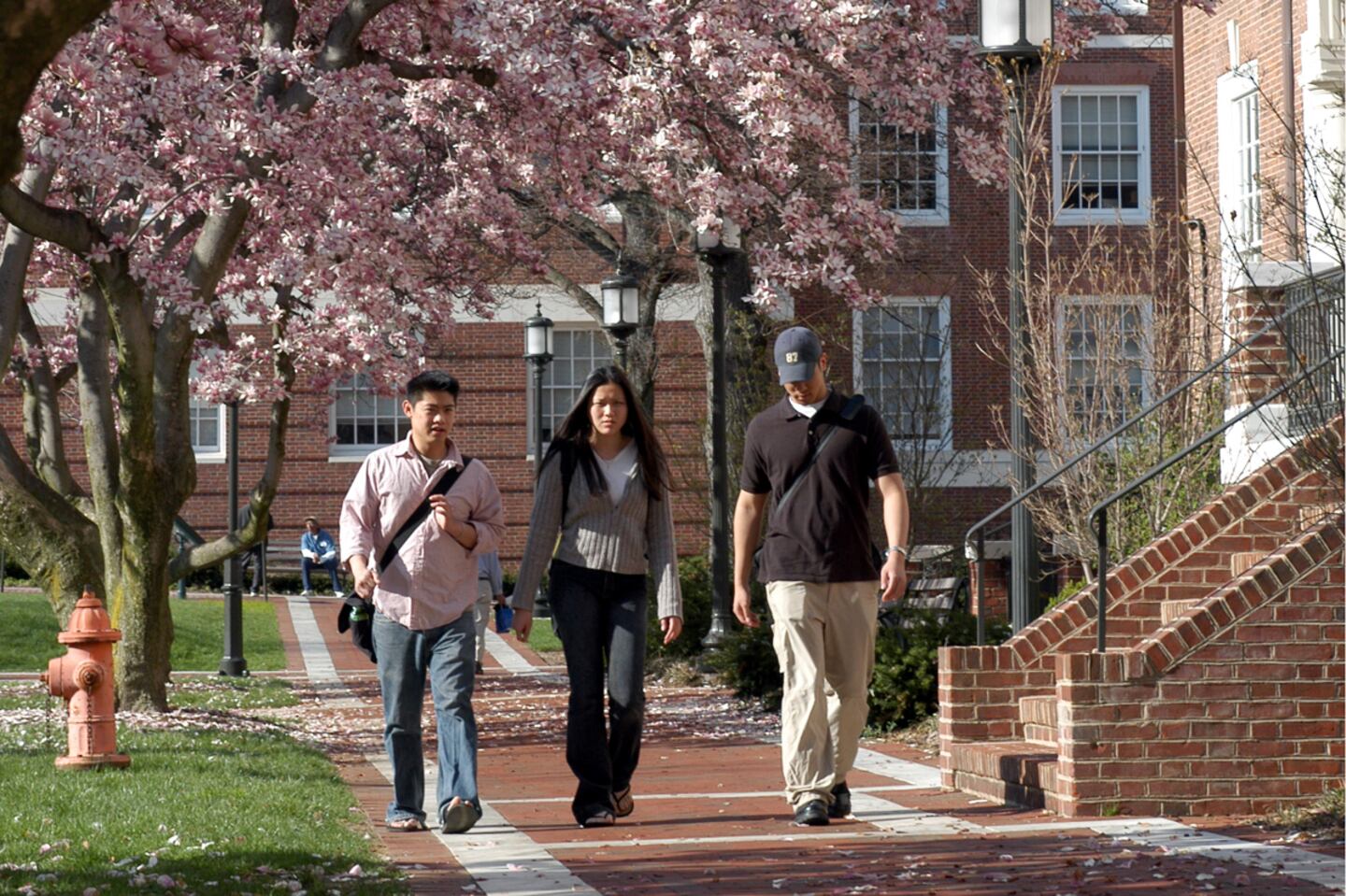 Top 20 Colleges Which Love Early Decision Applicants
