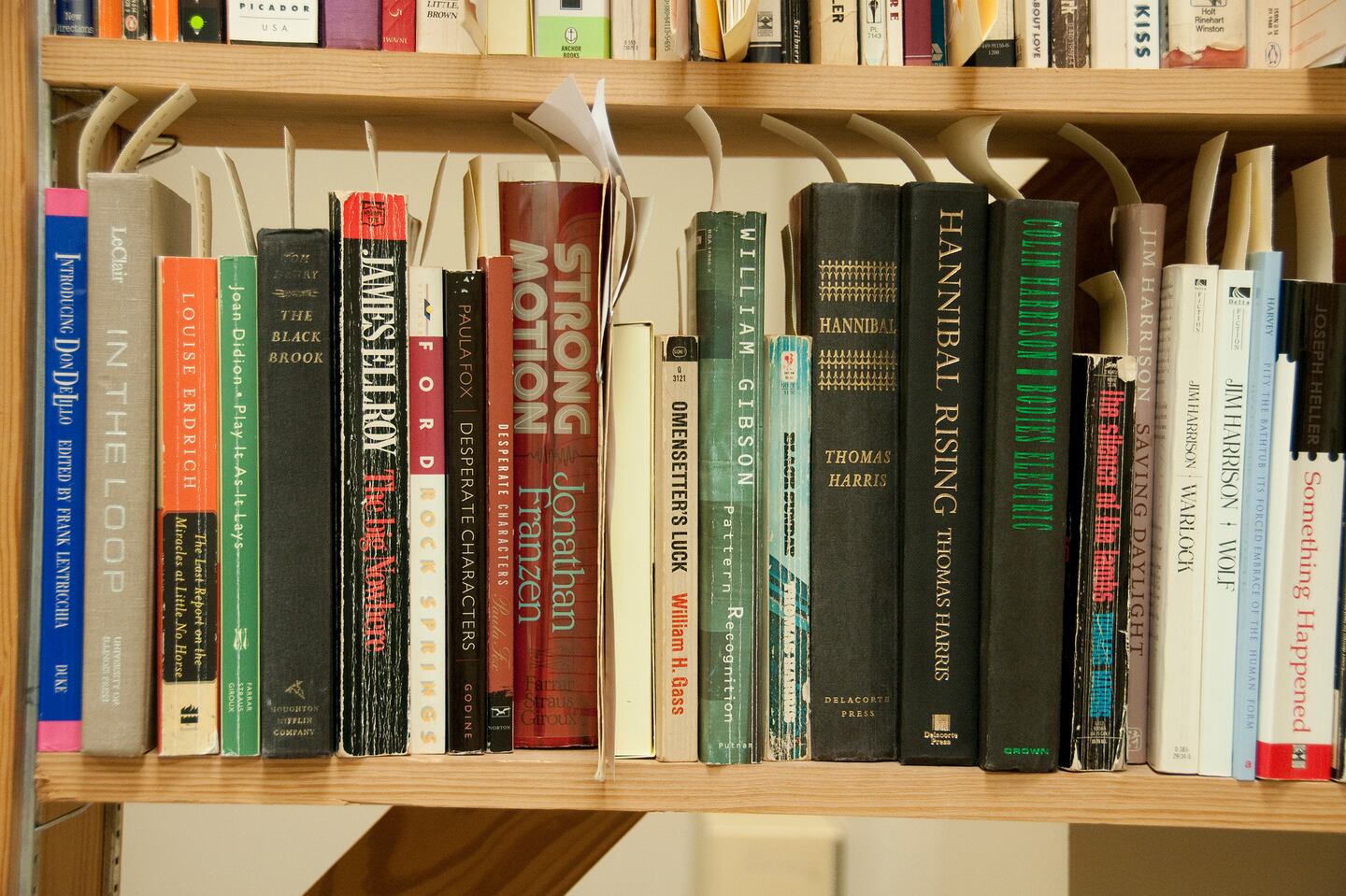 Writers and Their Libraries: What Books Did David Foster Wallace, James ...
