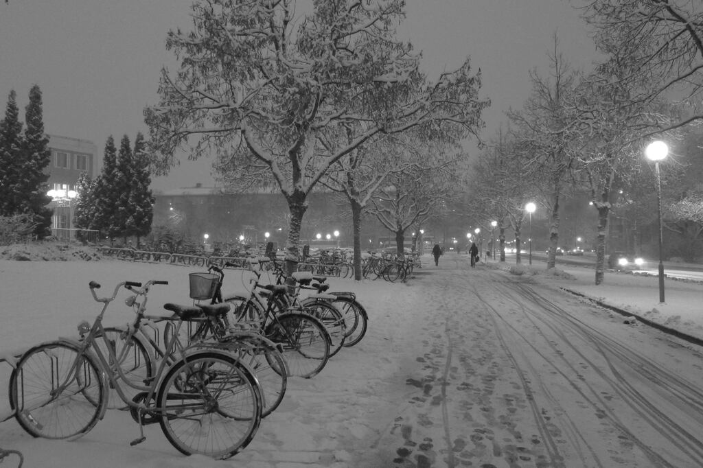 Readers Submit Coldest Weather Photos From Around the World