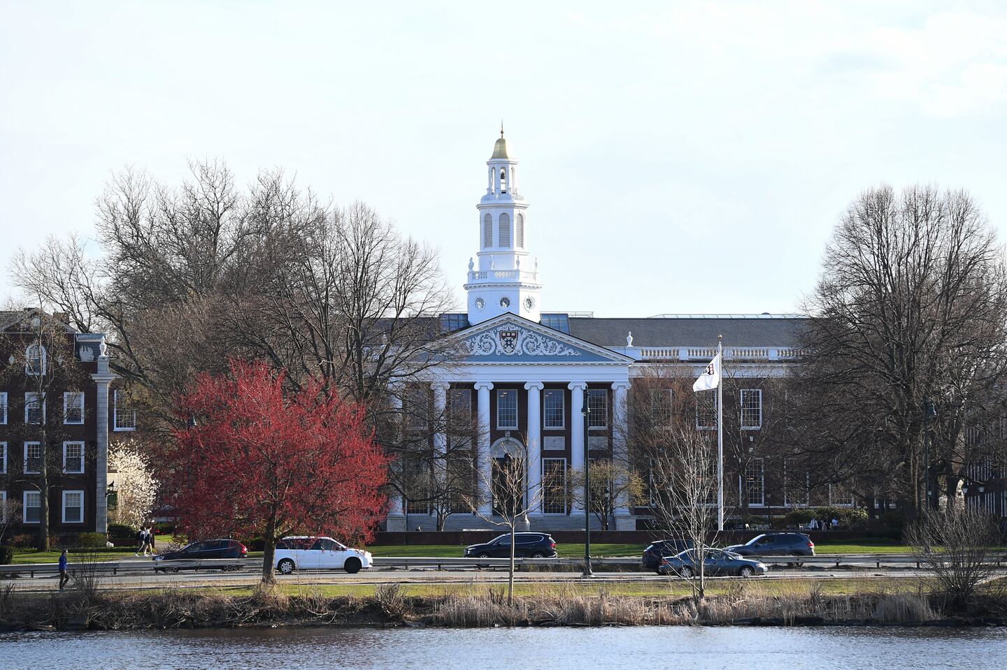 Harvard Fires Star Business Professor Francesca Gino for Faking Her ...