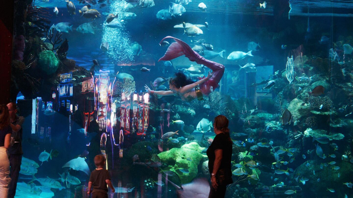 ‘MerPeople’ Review: Netflix Paints Riveting Portrait of Real-Life Mermaids