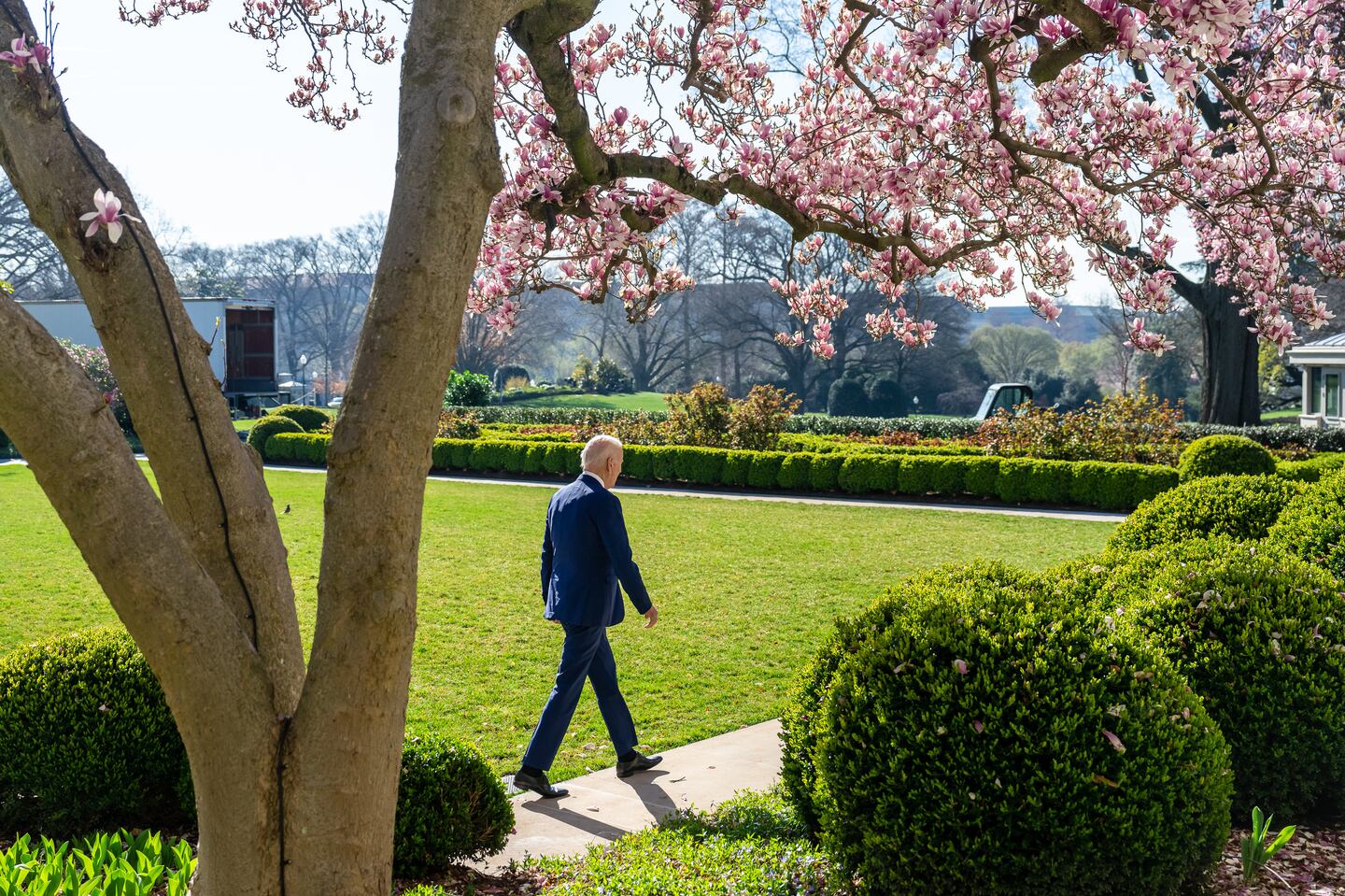 Photos Show Trump’s Tree-Cutting Rose Garden Transformation