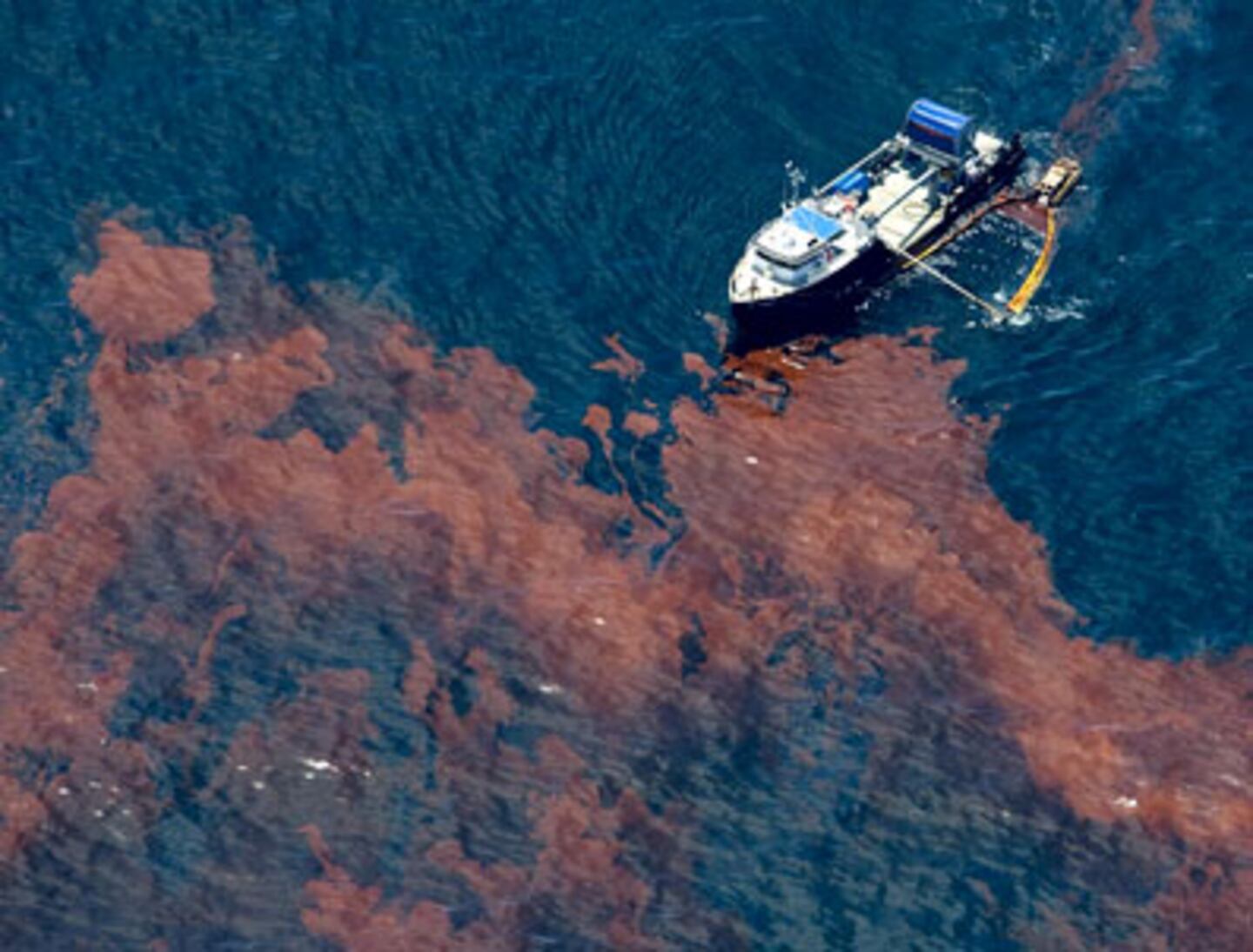 Environmental Disaster, Political Disaster