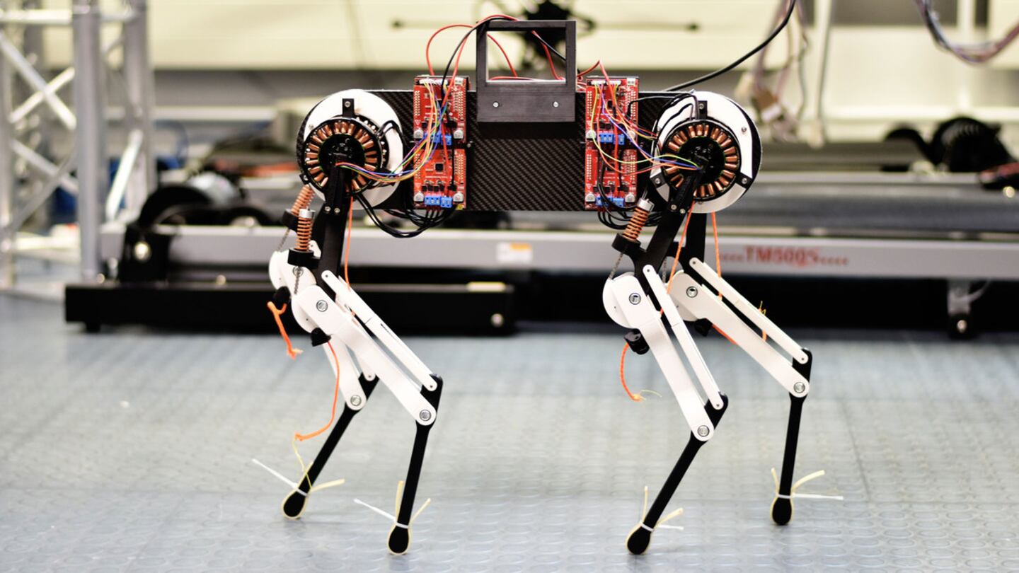 This Robot Dog Learned to Walk in Just an Hour on Its Own