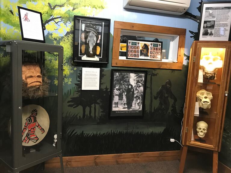 Sasquatch Hunting Goes Mainstream in Small Canadian Town