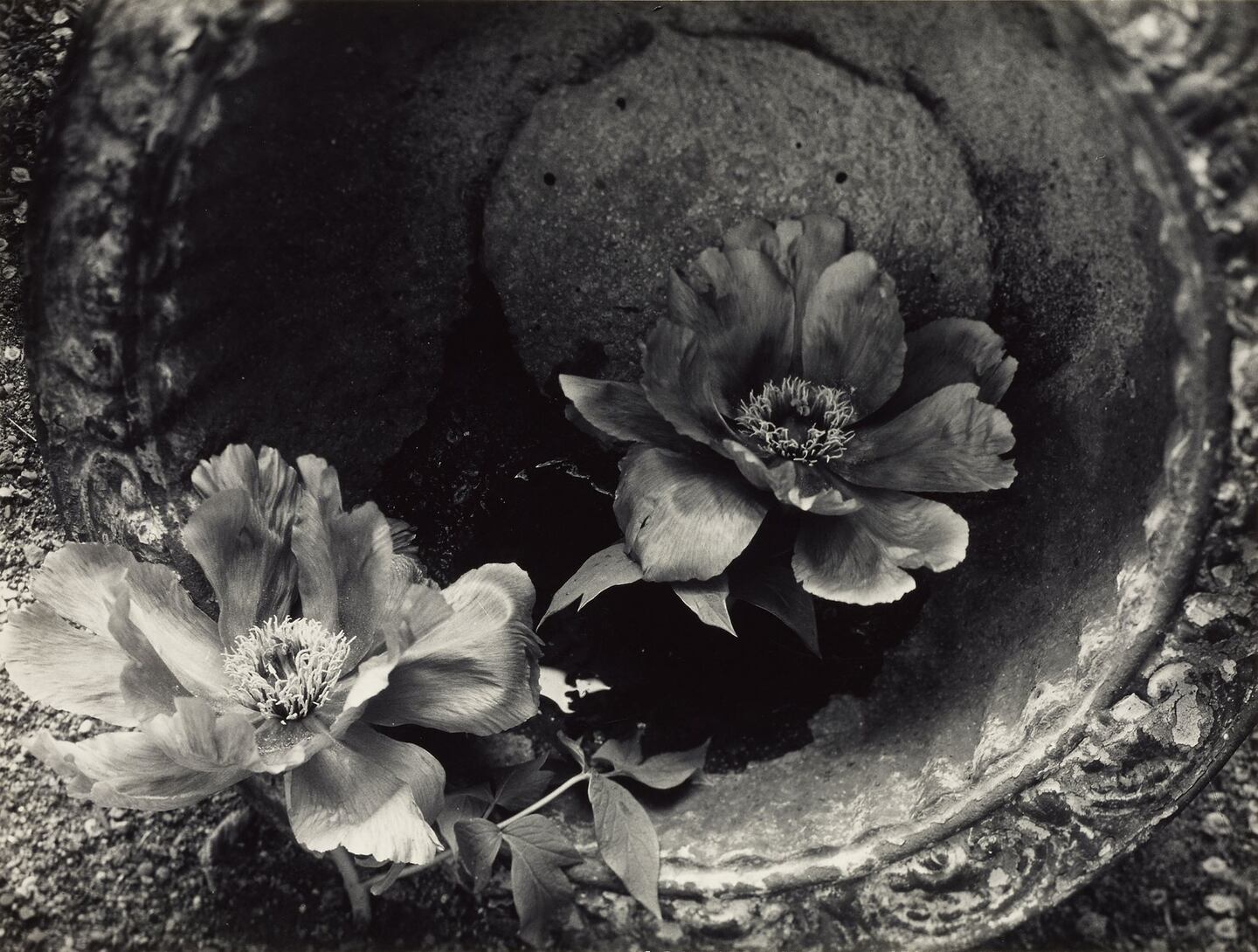 New Getty Retrospective On Minor White’s Metamorphosing Camera
