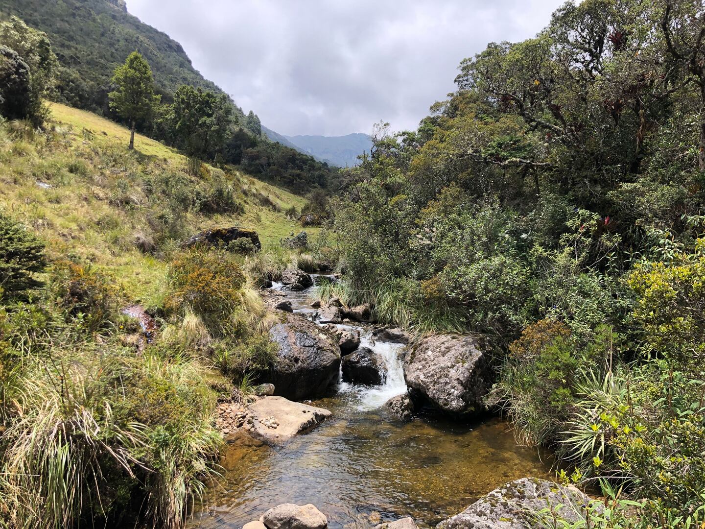 Hiking the Forgotten Royal Inca Trails of Ecuador