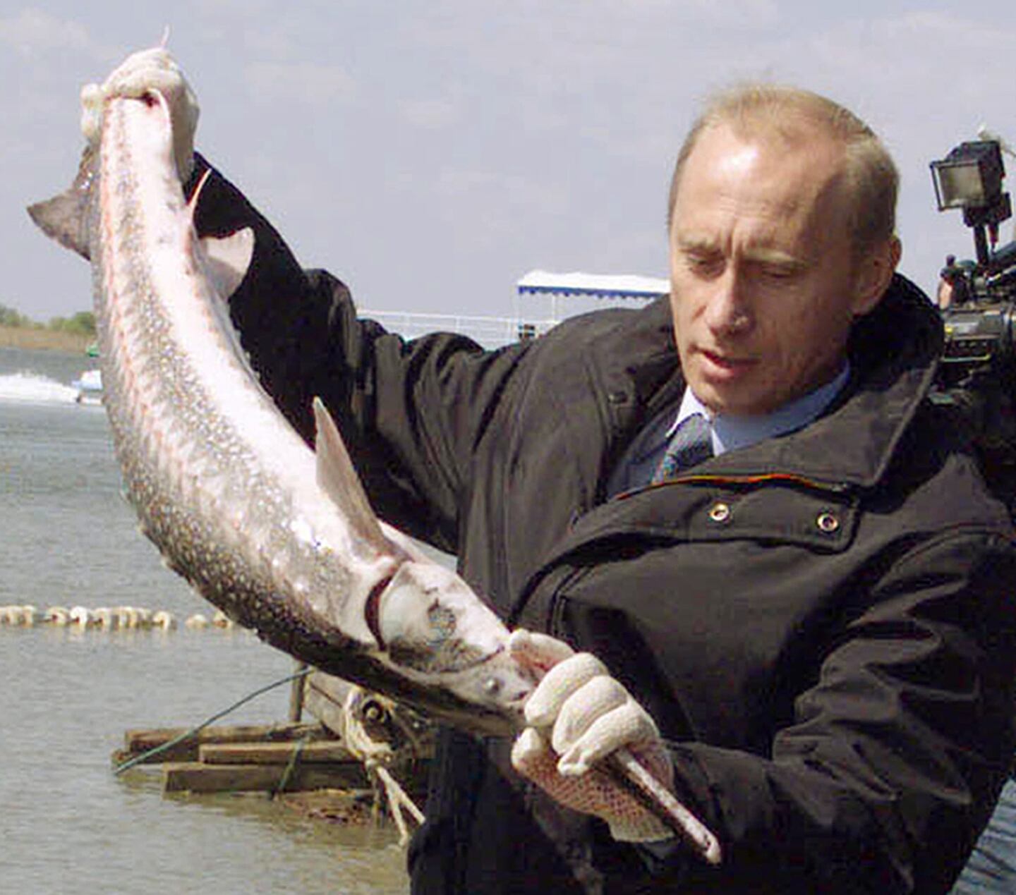 17 Photos of Putin Schmoozing With Animals (Photos)