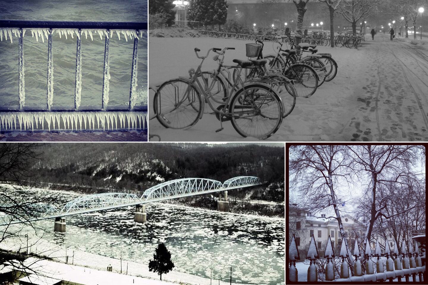 Readers Submit Coldest Weather Photos From Around the World