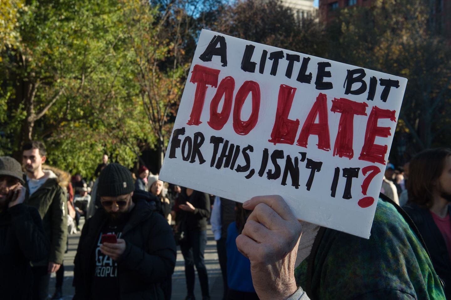 The Most Clever Signs of Anti-Trump Protests