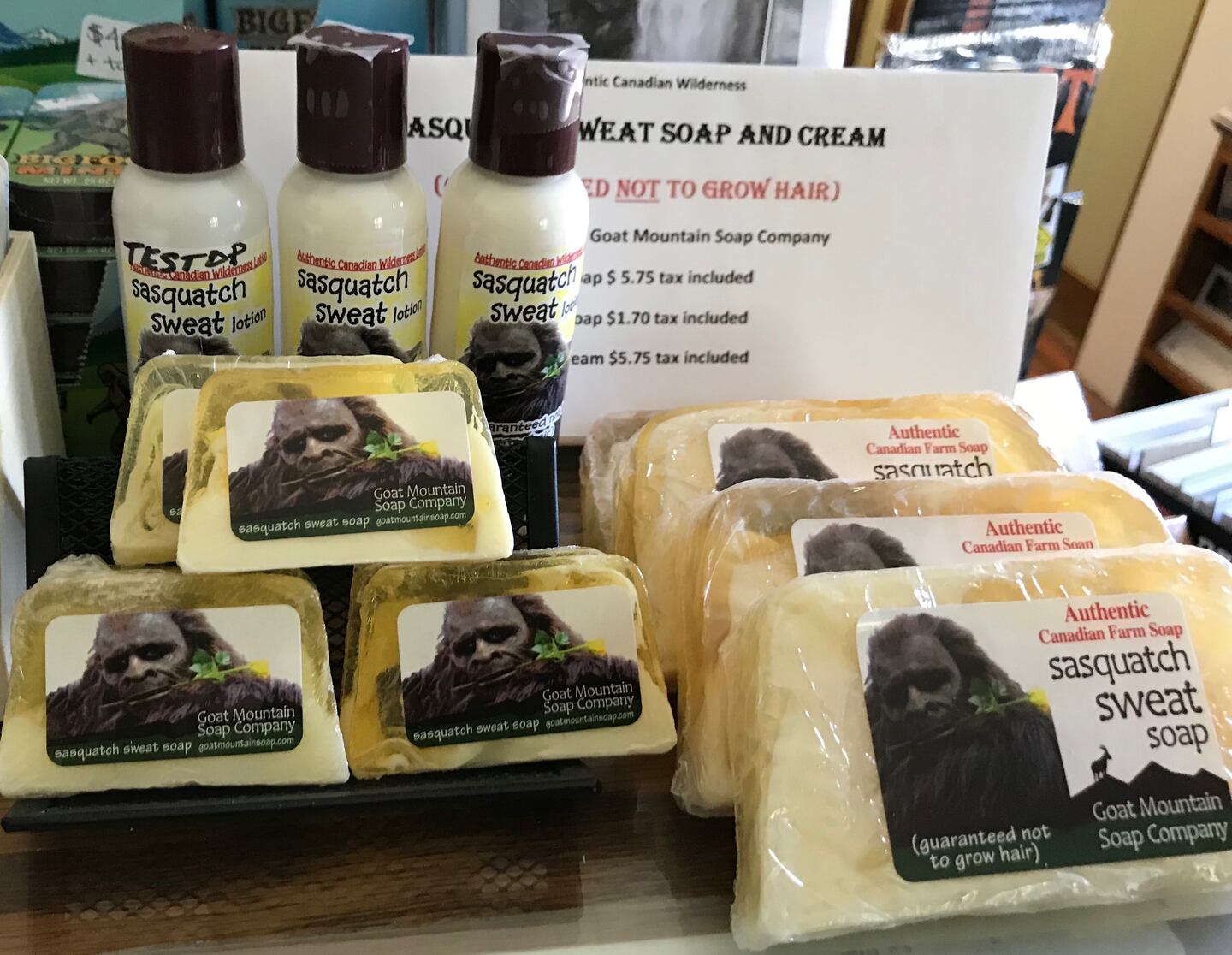 Sasquatch Hunting Goes Mainstream in Small Canadian Town