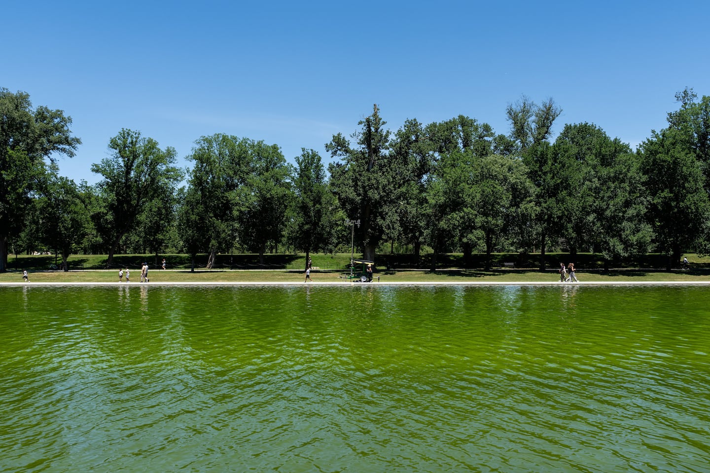 Trump Suffers New Green Slime Reflecting Pool Humiliation - Won’t Be ...