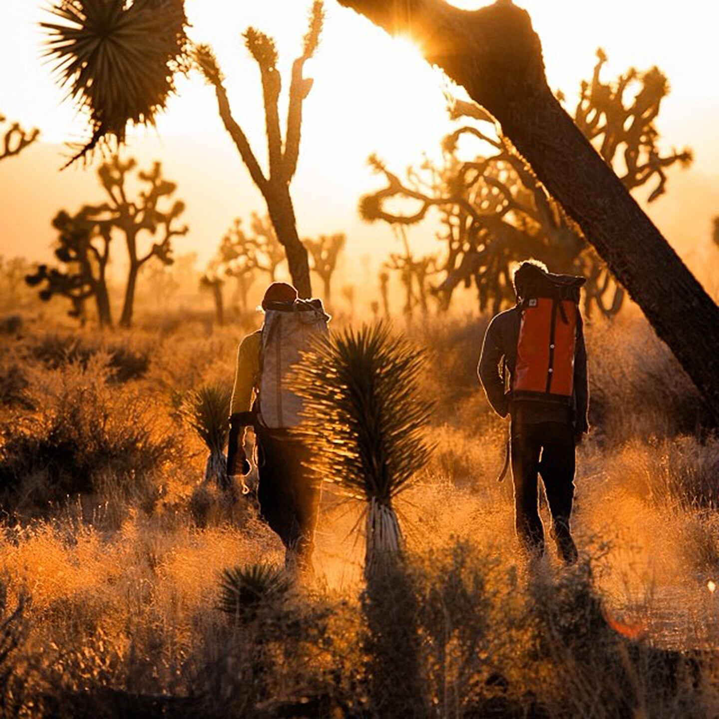 Instagrammer of the Week - Jeff Johnson