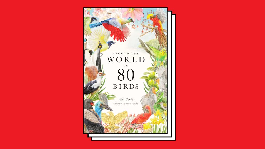 These Cool Birds Will Make You Want to Get Into Birding