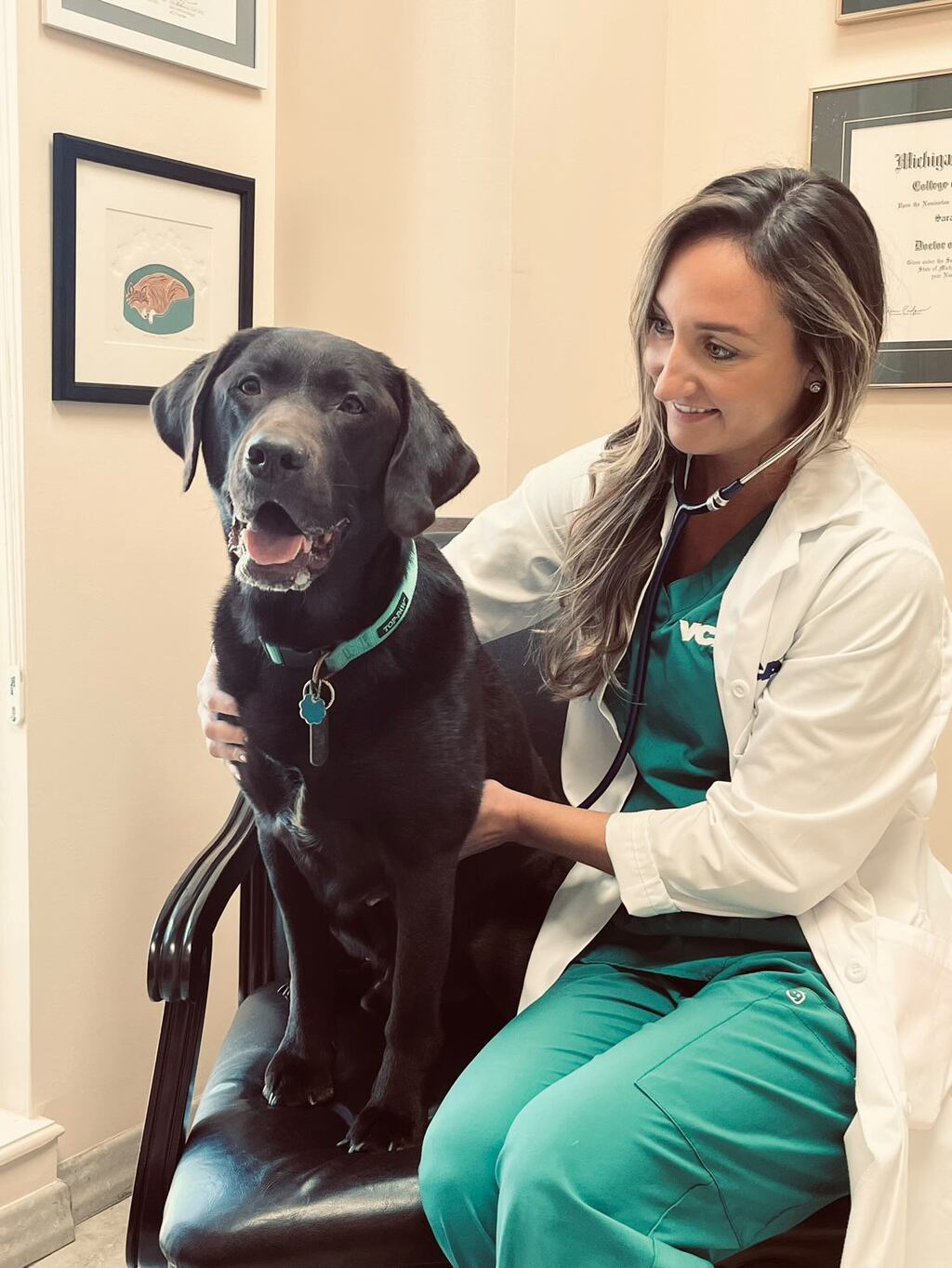 How AI From ImpriMed Can Help Treat (and Cure) Your Dog’s Cancer