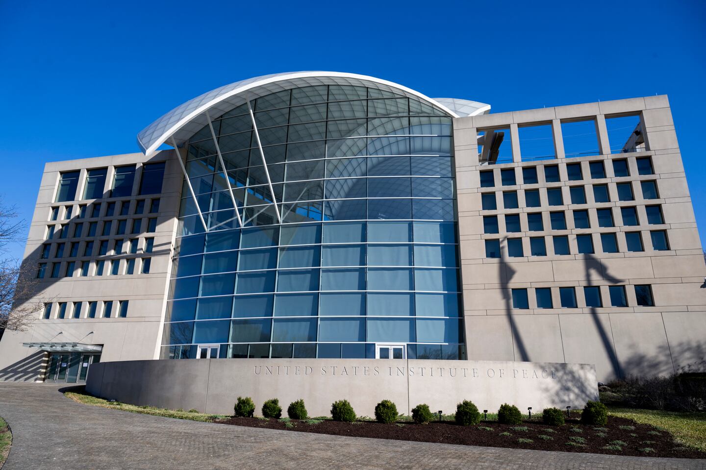 28-Year-Old DOGE Goon Installed as Head of U.S. Institute of Peace ...