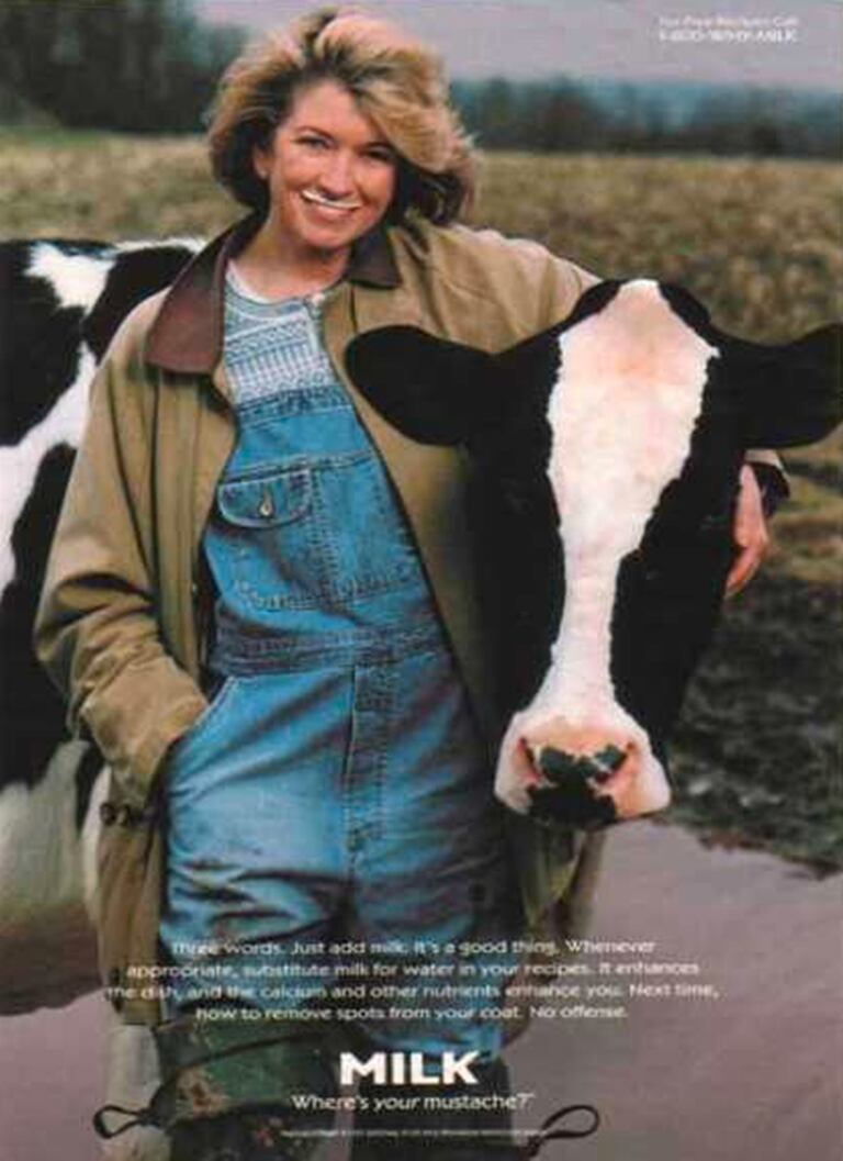 ‘Got Milk?’ Turns 20: Best Ads From the Iconic Campaign (PHOTOS)