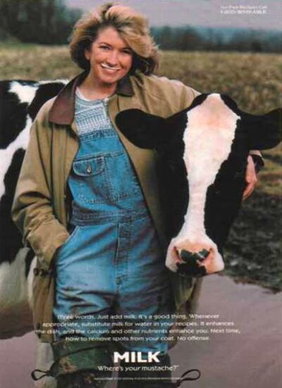 ‘Got Milk?’ Turns 20: Best Ads From the Iconic Campaign (PHOTOS)
